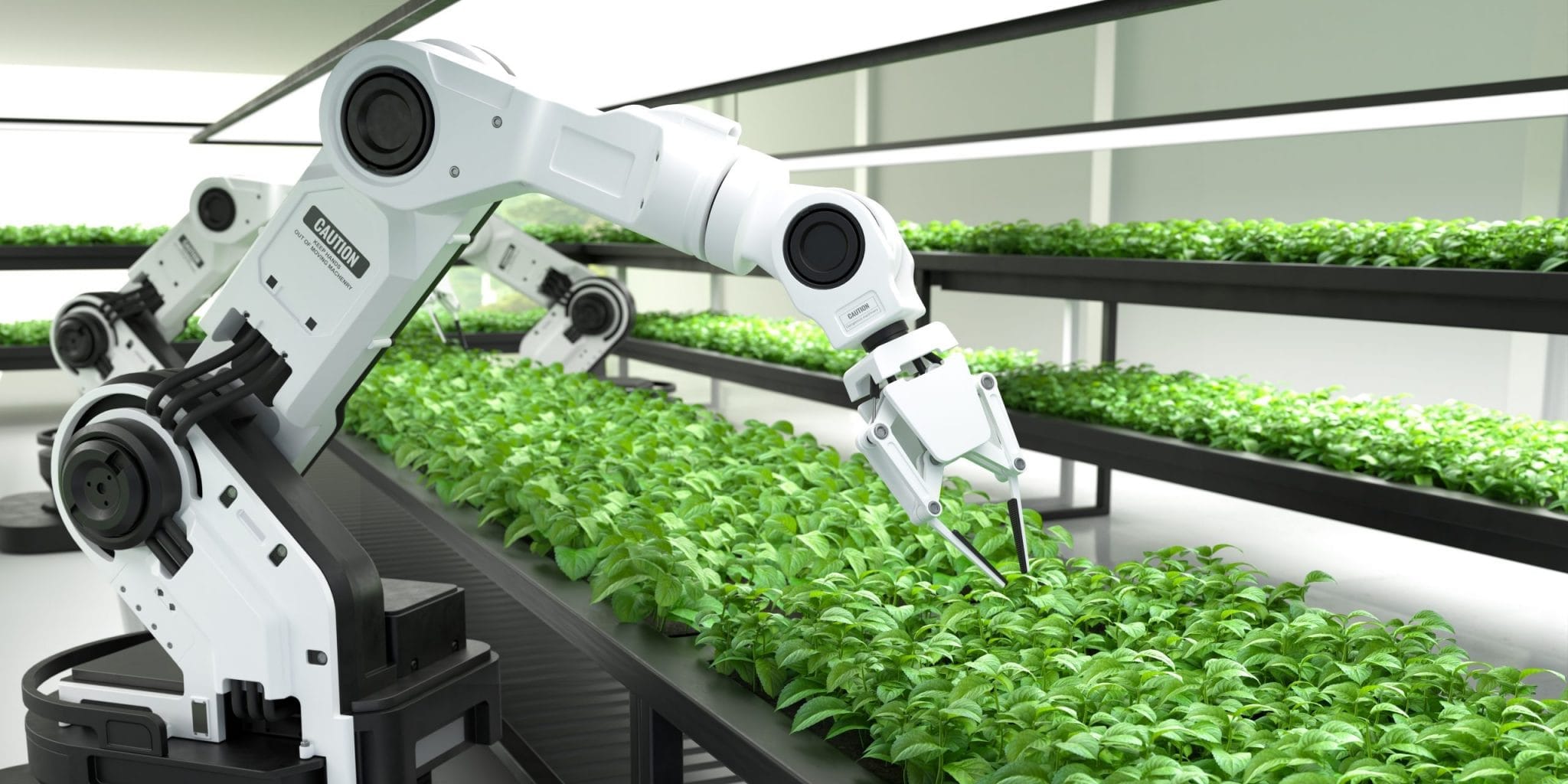 Greenflation on Manufacturing Sustainable Development